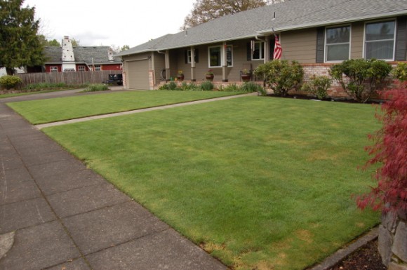 What does your front yard landscape say about you? | The World's Best ...