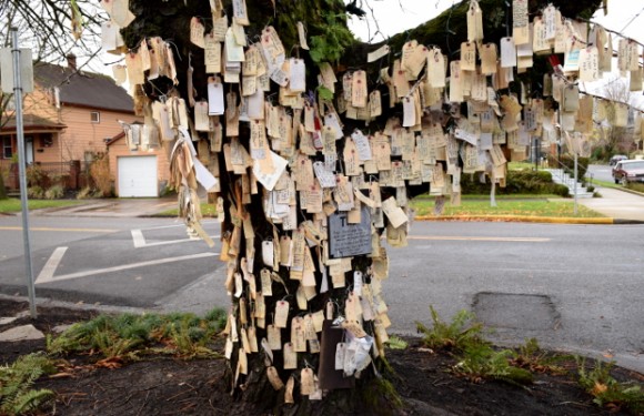 Wishing Tree Portland | The World's Best Gardening Blog