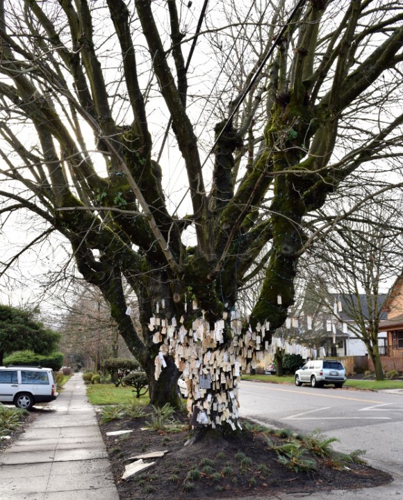 Wishing Tree Portland | The World's Best Gardening Blog