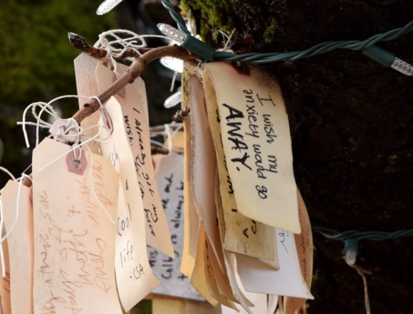 Wishing Tree Portland | The World's Best Gardening Blog