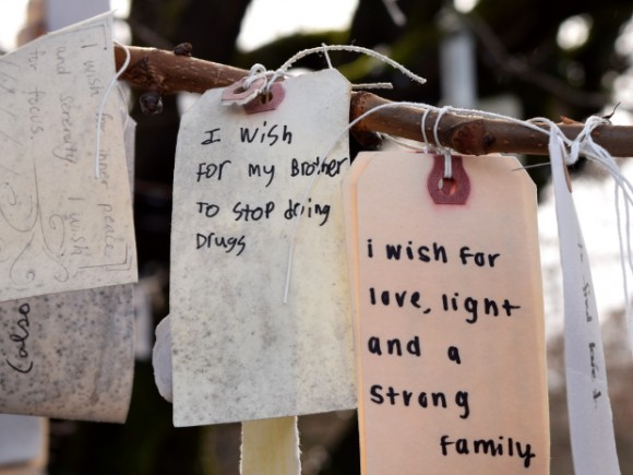 Wishing Tree Portland | The World's Best Gardening Blog