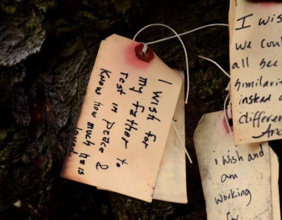 Wishing Tree Portland | The World's Best Gardening Blog