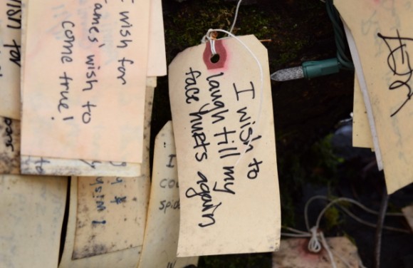 Wishing Tree Portland | The World's Best Gardening Blog