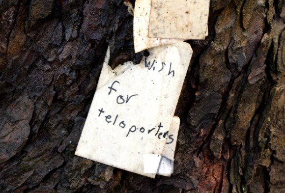 Wishing Tree Portland | The World's Best Gardening Blog